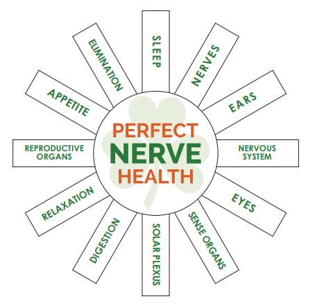 Nerve Health Zone - McCaffrey Health